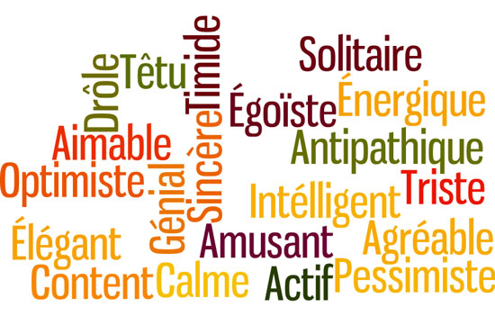 TICs en FLE: Décrivez le caractère de la fille ou le garçon de vos rêves