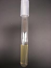 Franciscan University BIO 217 Microbiology Lab