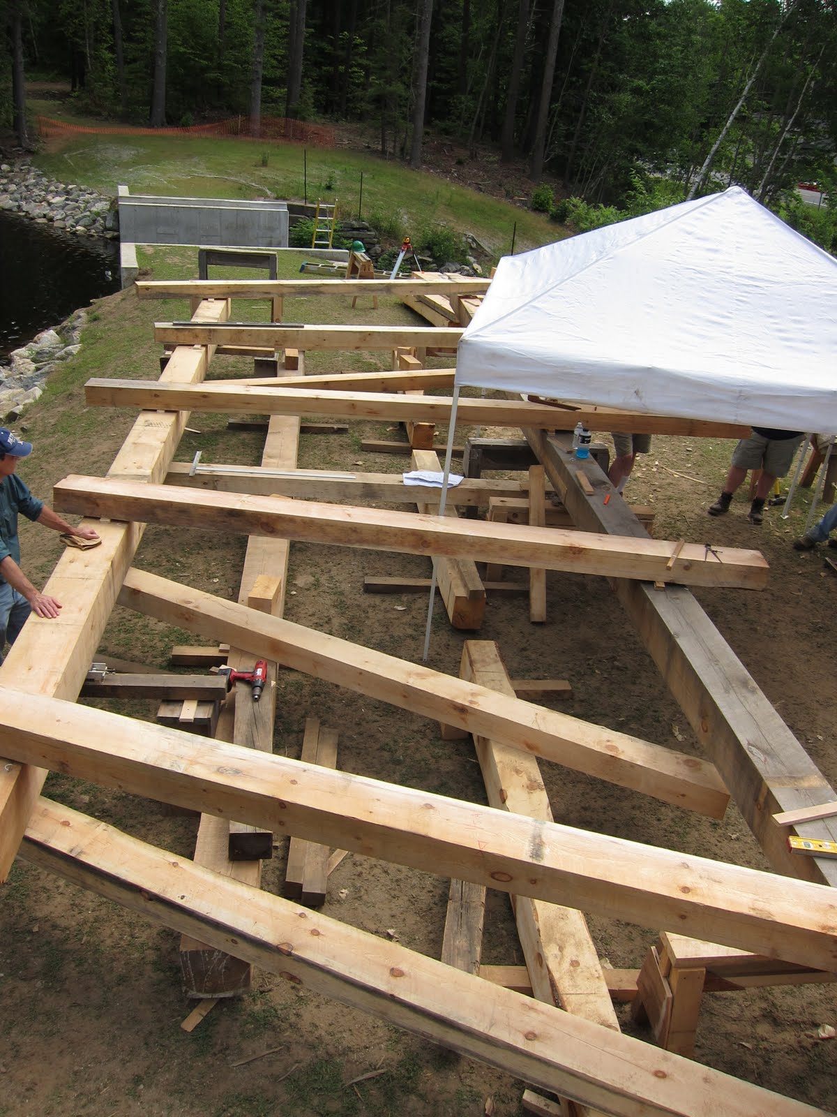 What Simon Does All Day: Learning Scribe Rule