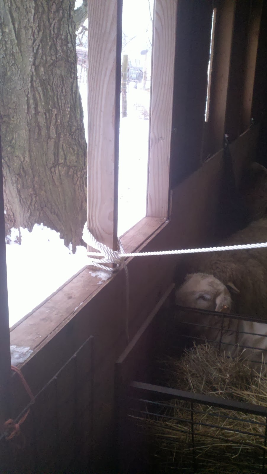 Shear Madness: Shearing Support