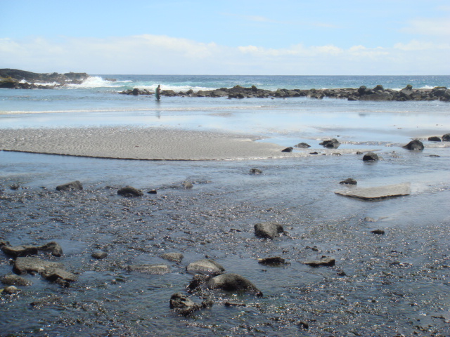 The Big Island Insider's Guide: Shipman (Ha'ena) Beach Hike