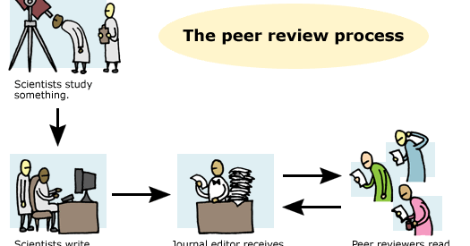  MLA Format Peer Review 