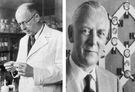 Esteroides anabolizantes: o que é, usos e efeitos colaterais ...