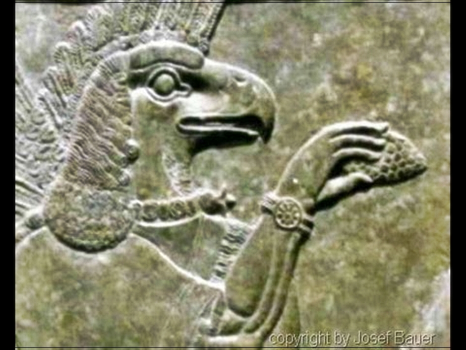 Los Anunnaki ~ Consciencia y Vida/ Magazine
