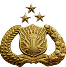 Tani Man: Pangkat Kepolisian