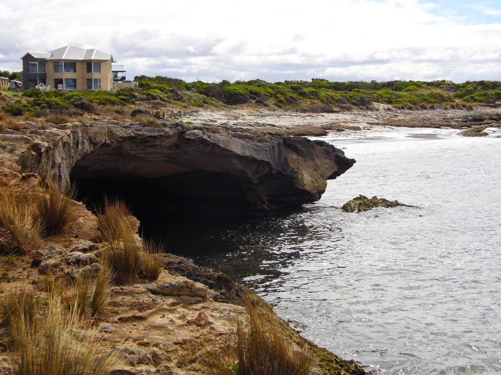 One Mother Hen: Blackfellows Caves