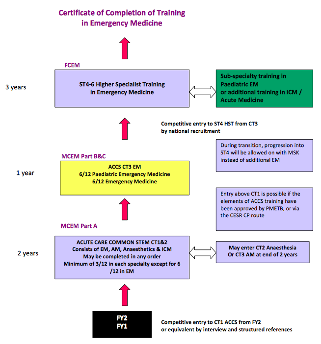 EM Didactic: The nomenclature of EM postgraduate qualifications in ...