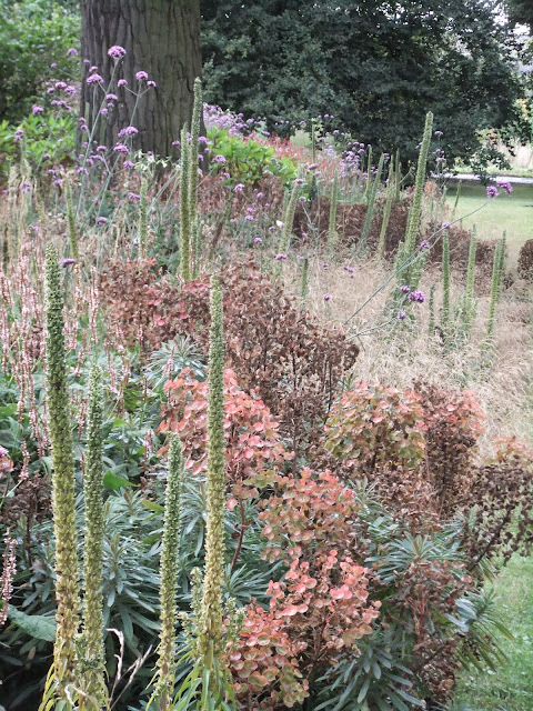 Pippa Purnell Garden Design: Planting: Refresh Your Borders