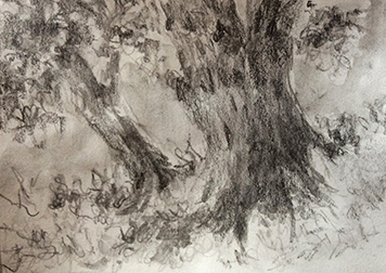 Paintings and Drawings by Manju Panchal: Cretacolour 8B Aquarelle ...