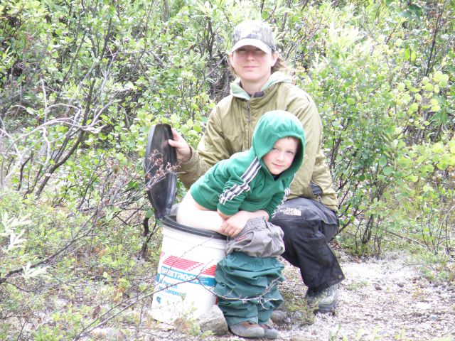 Wild World of the Williams'