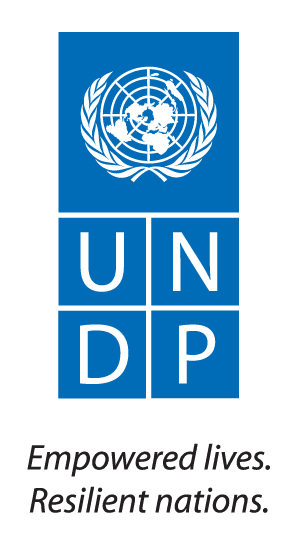 UN and NGO Jobs: Strategic Planning Specialist (UNDP), Kramatorsk ...