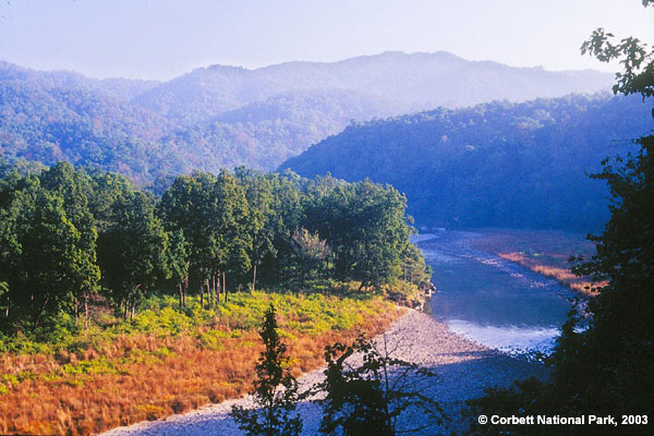 PICTURE GALLERY: Jim Corbett National Park- Nainital - Beautiful Pics