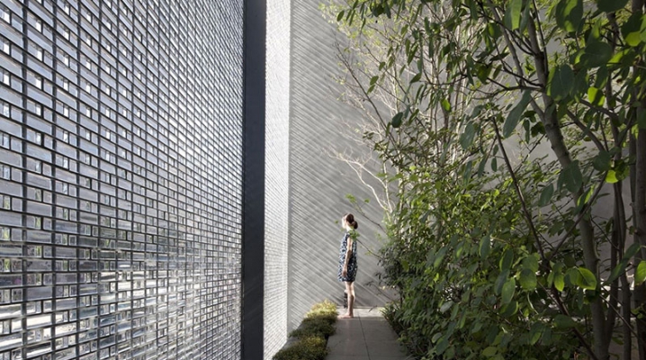 Japanese garden with large glass brick wall - Lady's Houses