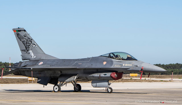 DIA DE BASE AÉREA ABERTA [BA5-MONTE REAL] (M1857 - 37/2016) [Parte I ...