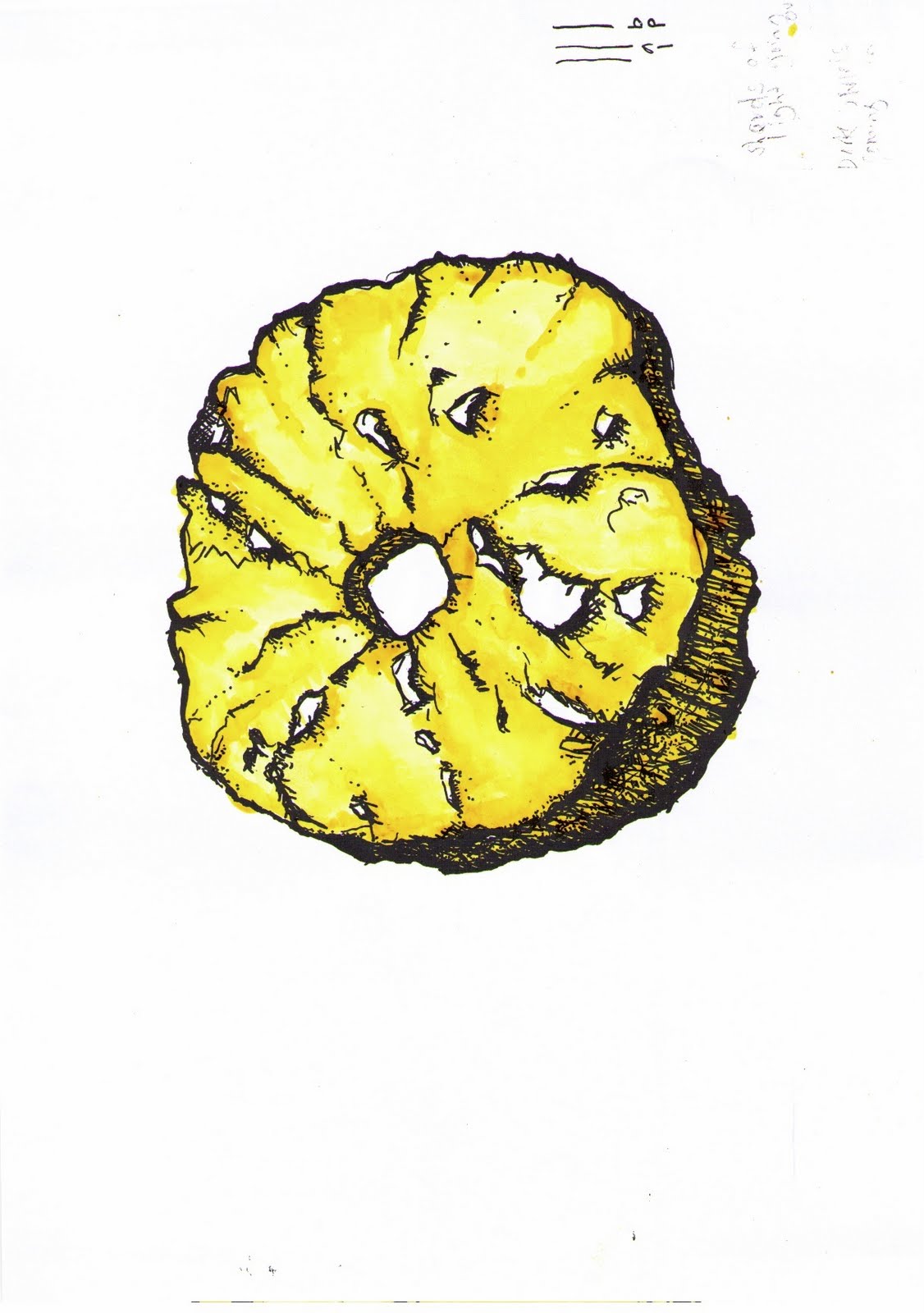 olivia hittmann: pineapple fritter drawings