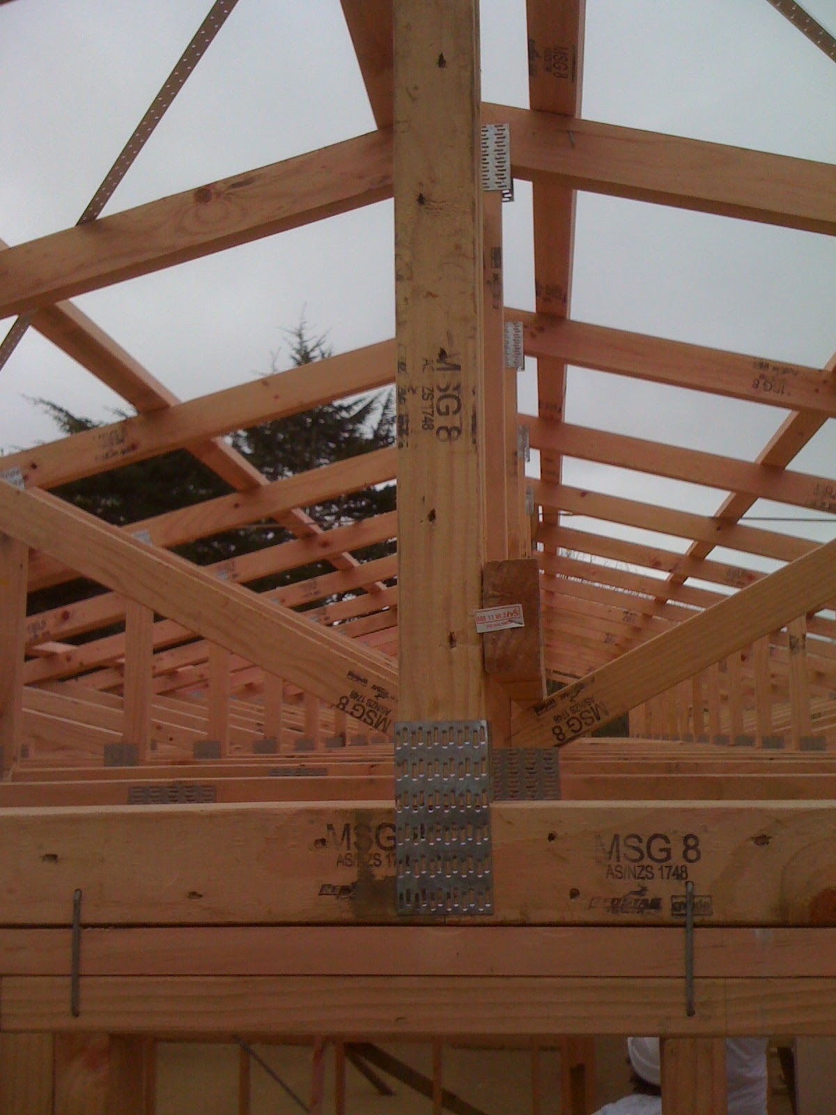 Robert Teh: week 13 unitec carpentry 15-18 june 2011