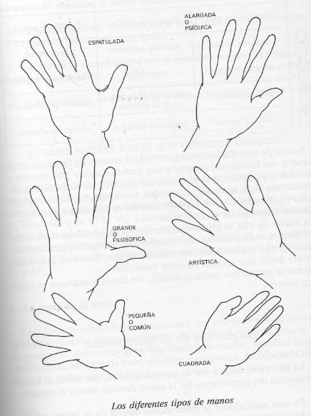 Las formas de las manos | La mágia