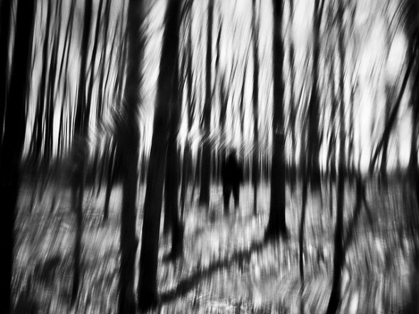 emiley's photography blog: Image and Text - Task 1