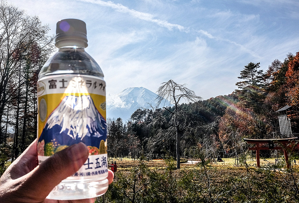 This peaceful park near Mount Fuji makes for a pleasant place to stroll ...