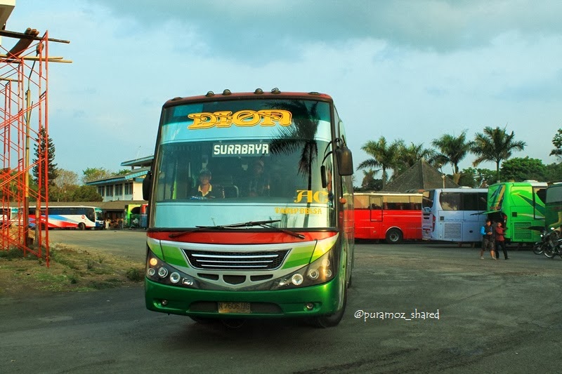 Kumpulan Foto Bis Restu Panda Arjosari Malang - Kumpulan Foto Bis