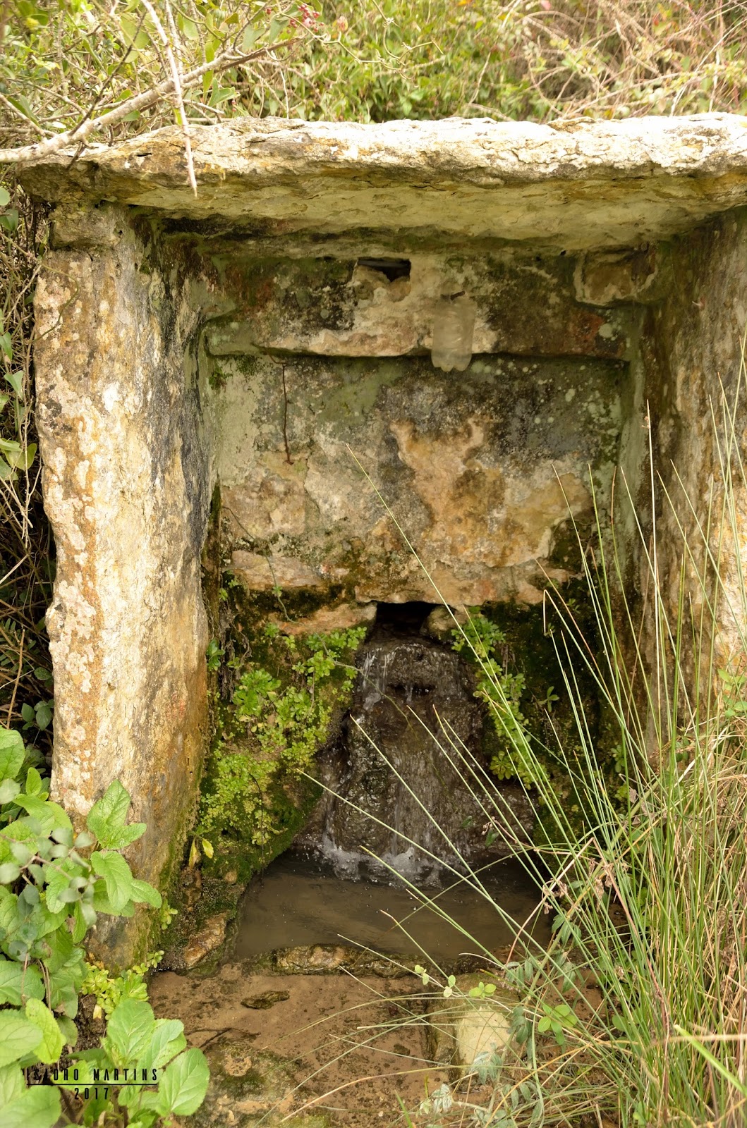 PerspectivasPessoais: Estrada romana de Cabrela