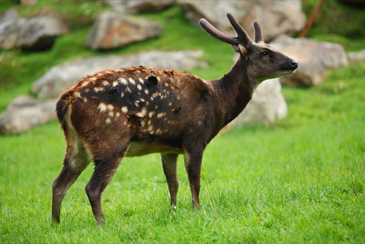 Environmental Blog: March 2014