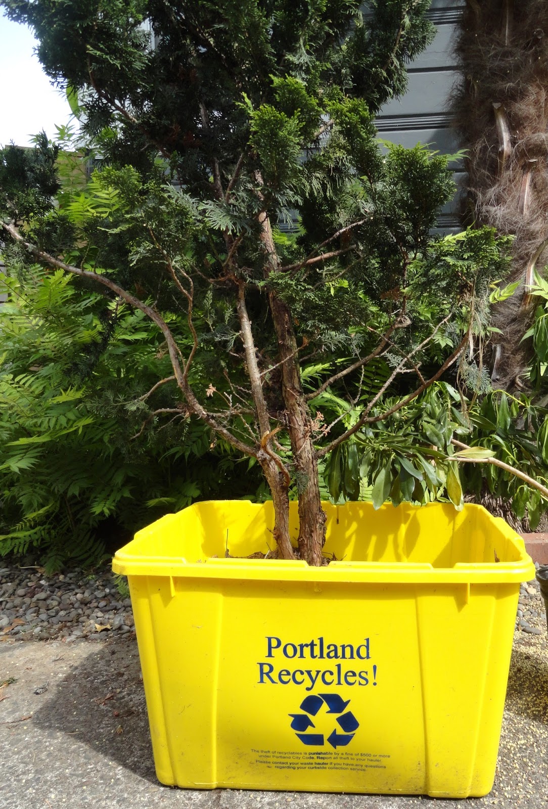 danger garden: Wednesday Vignette: Portland Recycles!