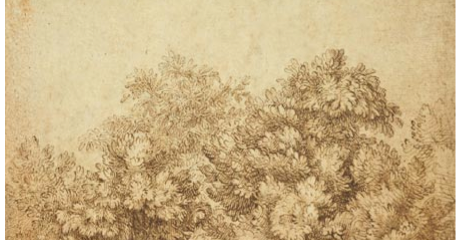 Christopher Denise: Incredible details of Titian drawings.