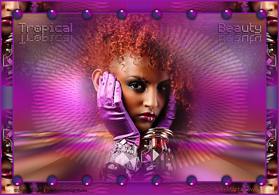 LTDstudio Tutorials Gallery