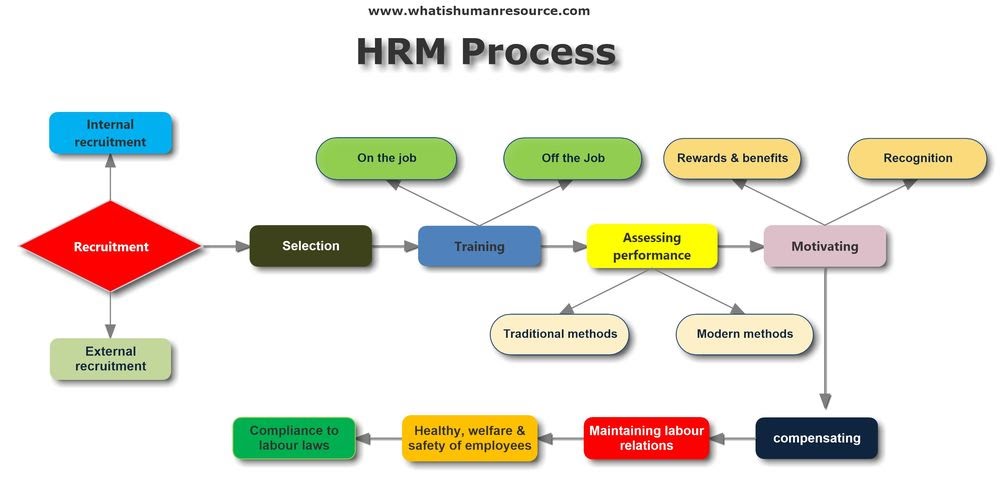 Introduction to Human Resource Management