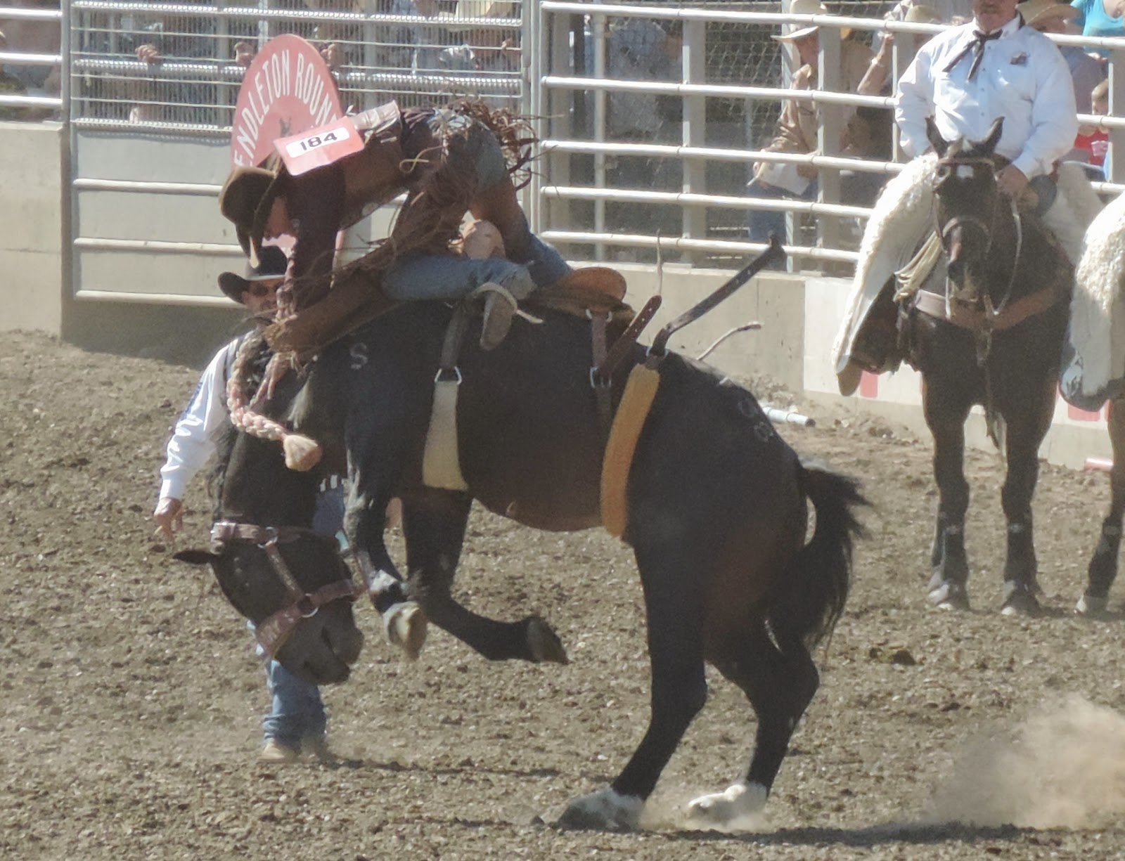 2015 TRAVELS : FINALE RODEO AT PENDLETON ROUND-UP