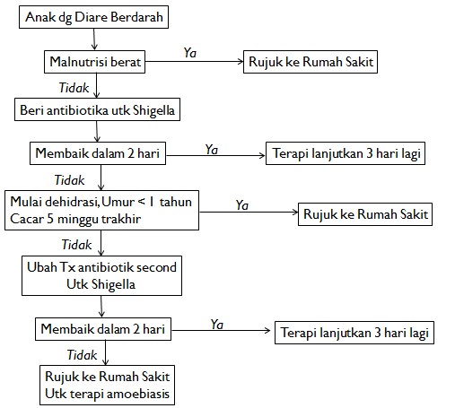 Farmakoterapi Diare Anak - suka farmasi