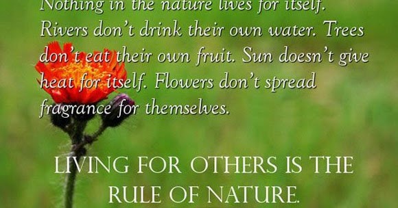 Learning-Living [learning-living.com]: LIFE LESSONS FROM NATURE