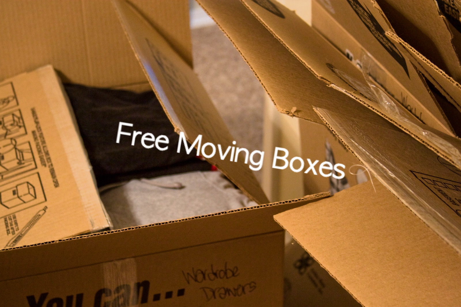 5 Top Things to Consider During the Move