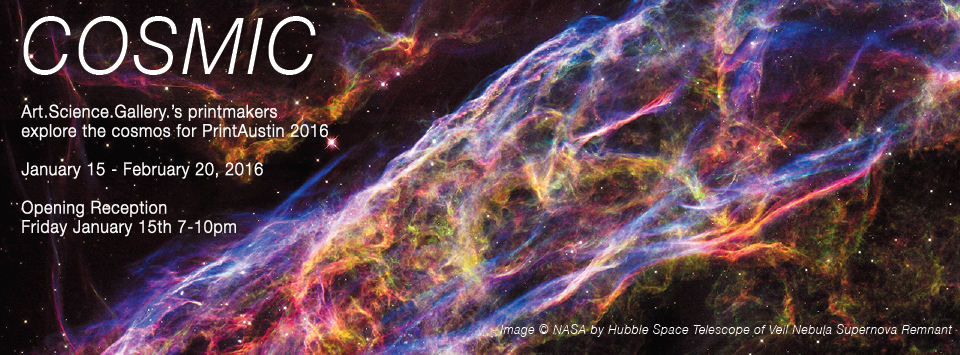 the ongoing saga of minouette: COSMIC turtles