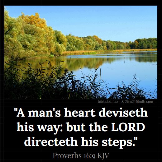 2 Timothy 2:15 Truth: Verse of the Day: Proverbs 16:9 KJV