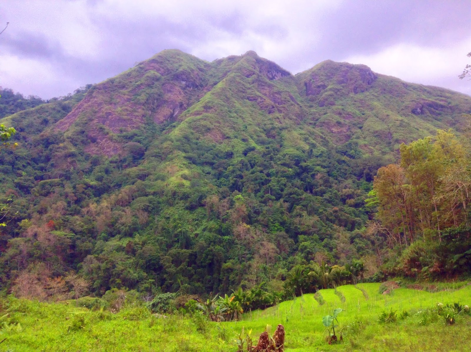 Lost in Paradise: First Solo Hike in Mt. Kapugan - From The Highest ...