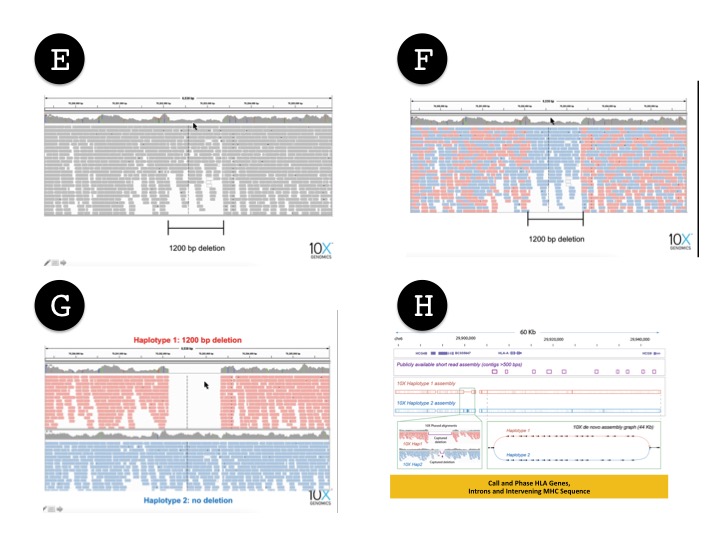 CoreGenomics: AGBT16 10X Genomics workshop