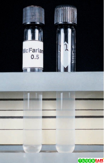 [Microbiology] Atlas of Antimicrobial Susceptibility Testing | Free ...