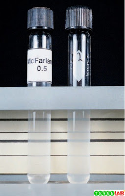 [Microbiology] Atlas of Antimicrobial Susceptibility Testing | Free ...