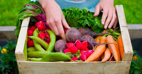 Healthy Living To A Better You: How To Find Ways To Reduce Fat Intake ...