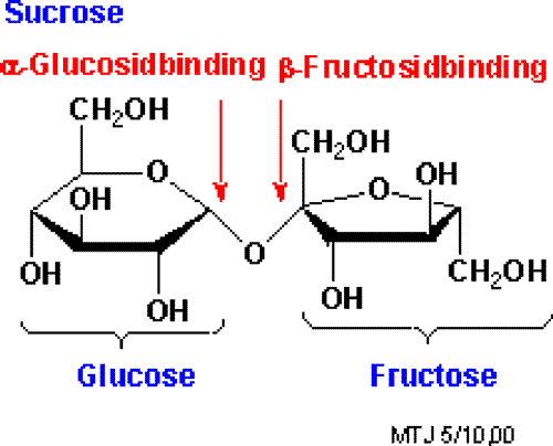 knowledge sea: DISACCHARIDES