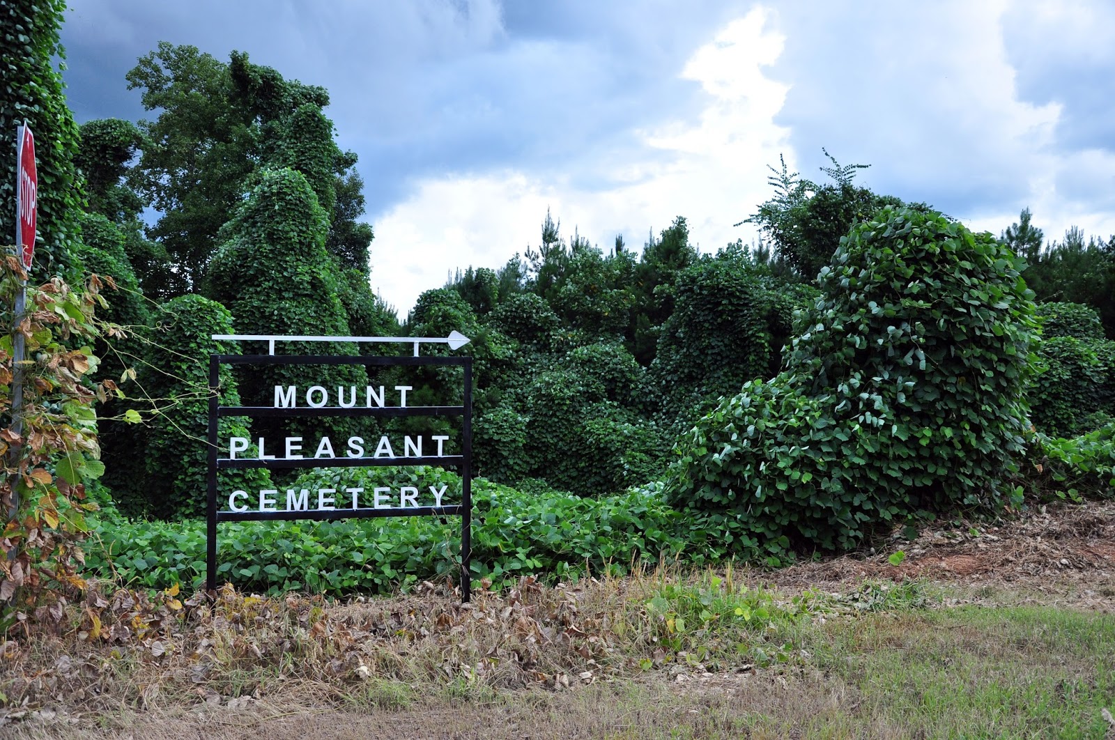 Stories of the South - Mt. Pleasant Baptist Church Mantee, MS
