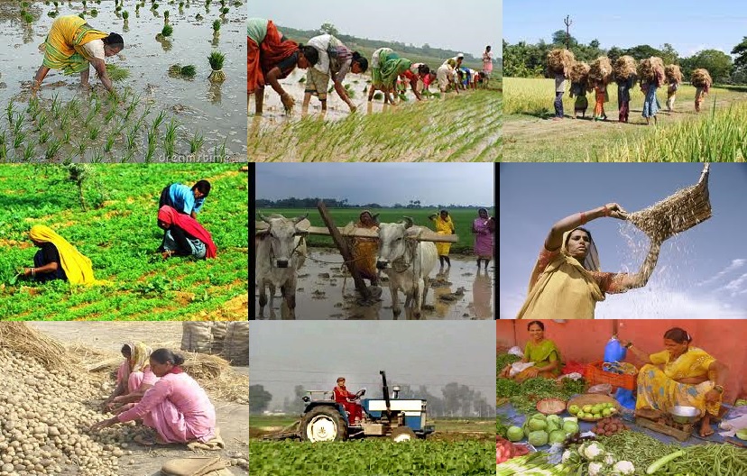 Development of agriculture in india