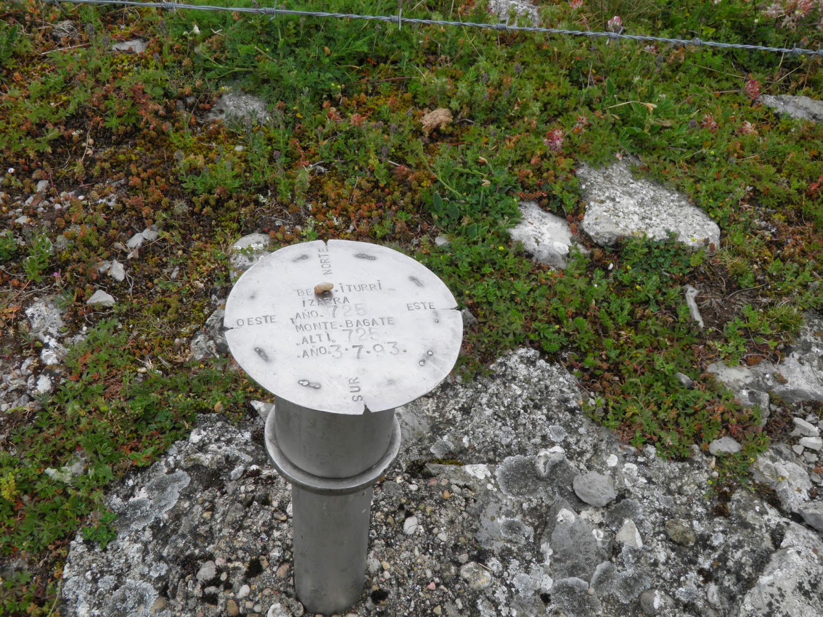 LAUKOAK: (20140611) Circular Delika-Bagate-Salto Nervion-Senda cortado ...