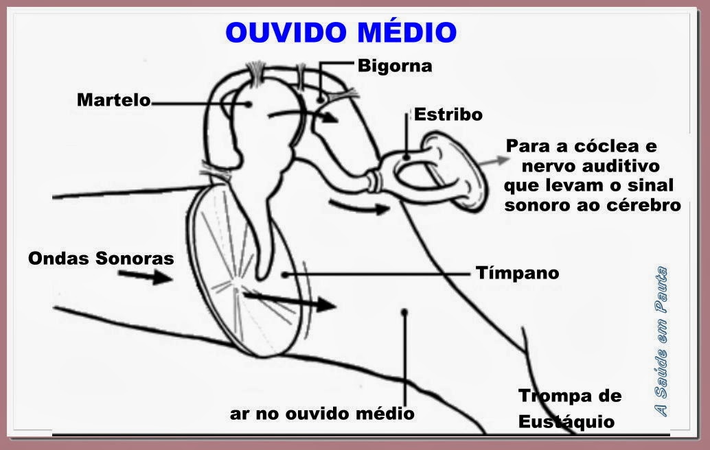 Martelo Estribo E Bigorna - FDPLEARN