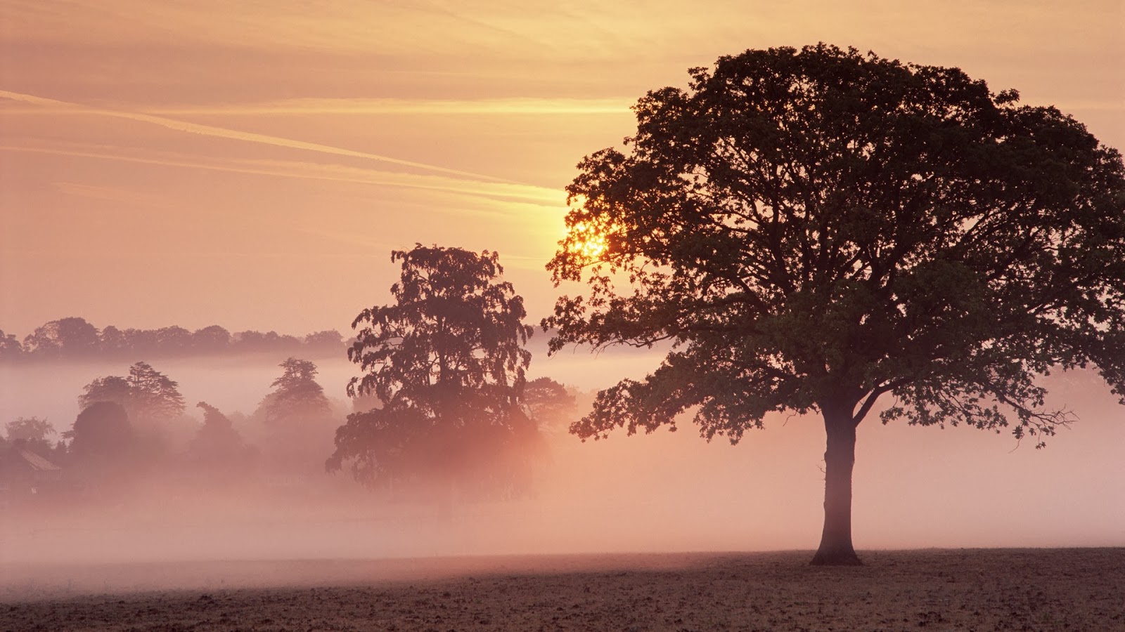 Neblina wallpapers HD