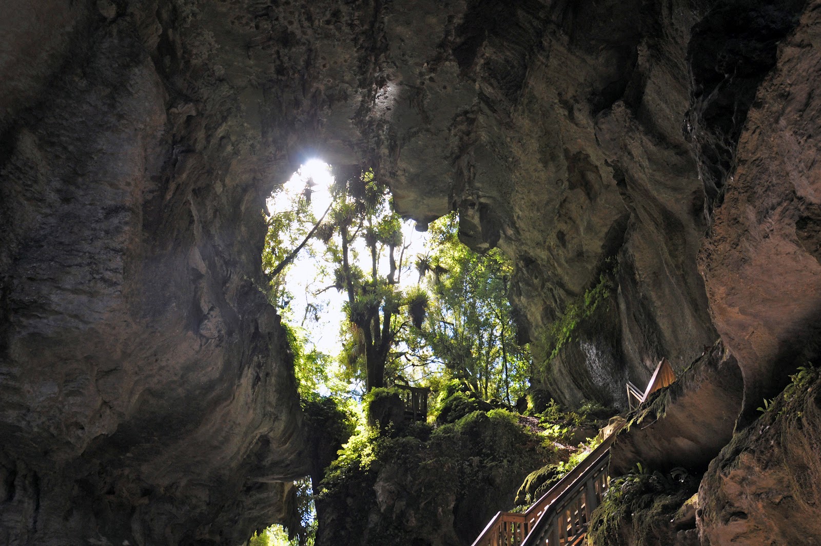 My Traveler's Journal: Two weeks in New Zealand