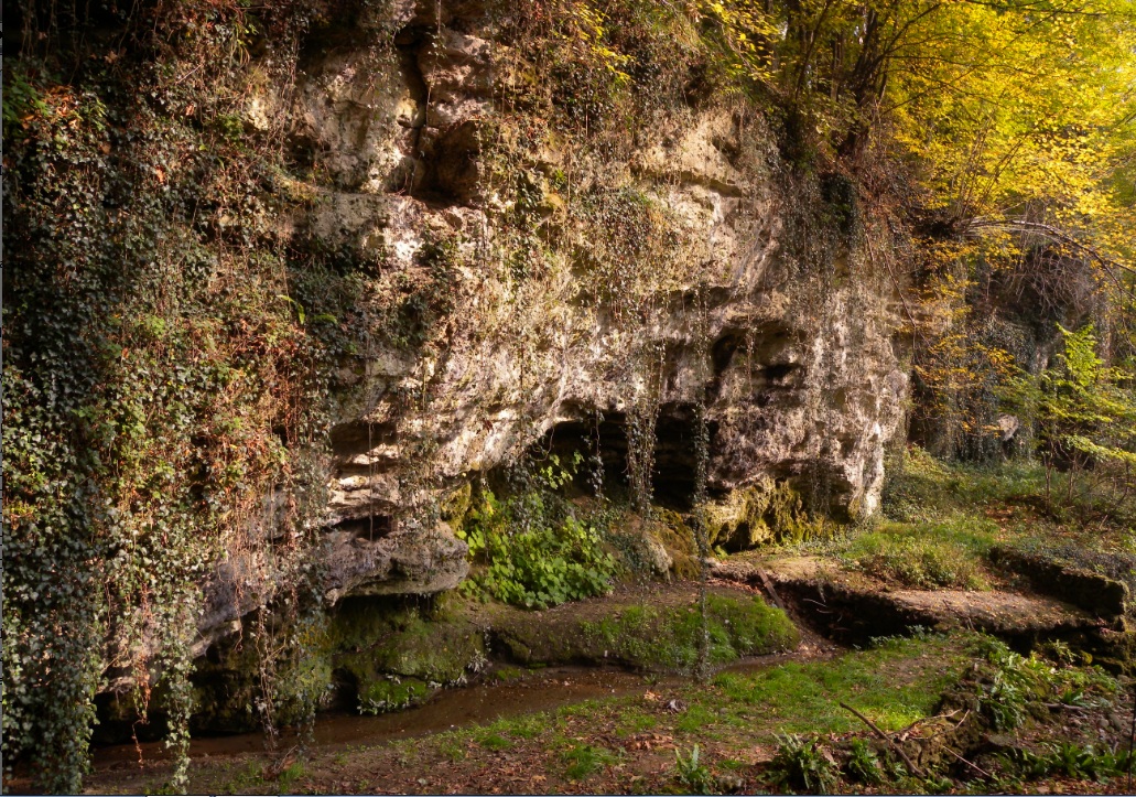 Brianza Centrale: L'area naturale dell'Orrido di Inverigo