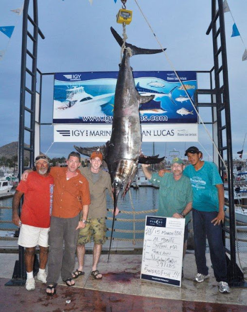 Pisces Fleet's Tracy Ann Scores first swordfish of Los Cabos 2012 ...